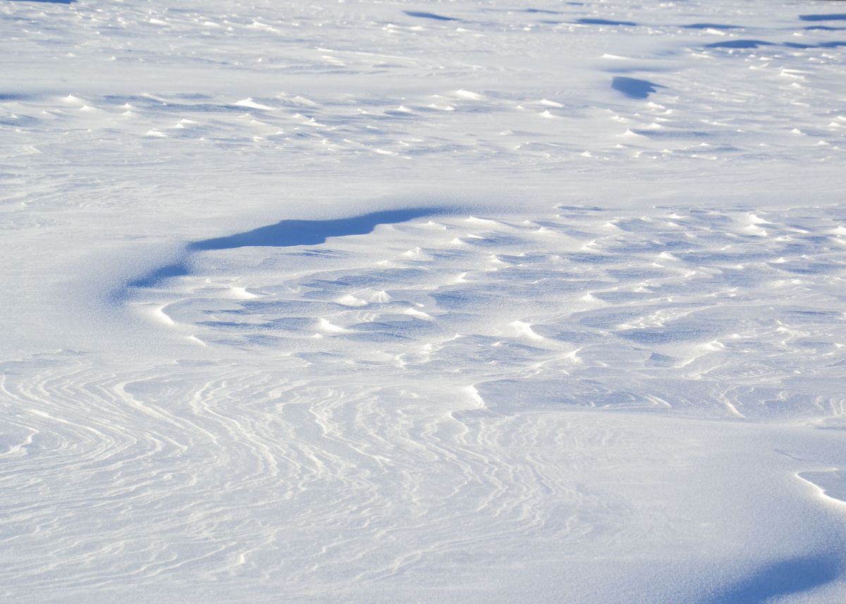 'Snowdrift' Poster, picture, metal print, paint by Art Shack | Displate