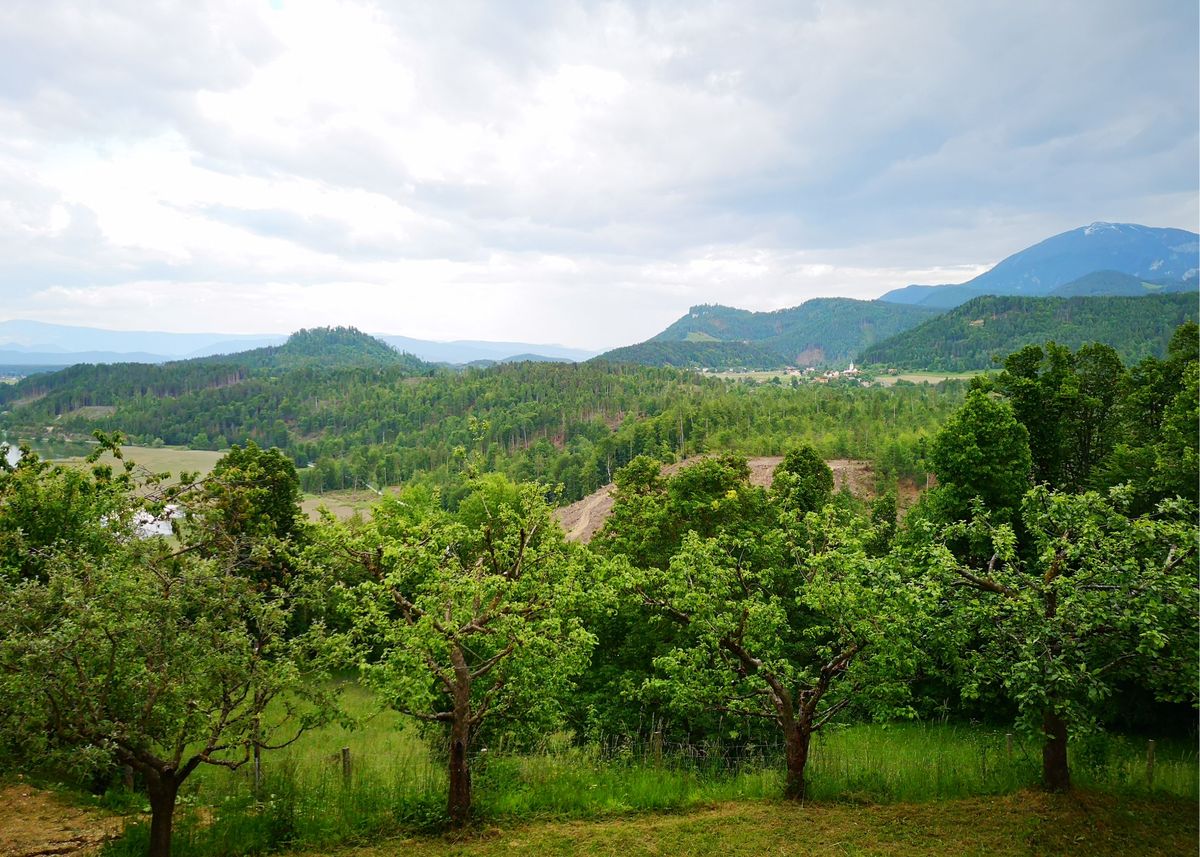 'Natureview' Poster, picture, metal print, paint by Christopher Stany ...