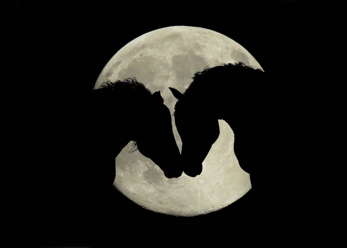 'Moon Lovers' Poster, picture, metal print, paint by Melanie Kowasic ...