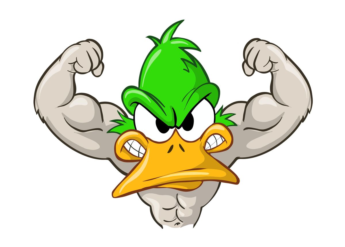 'funny bodybuilder duck' Poster, picture, metal print, paint by EZ Ezzy ...
