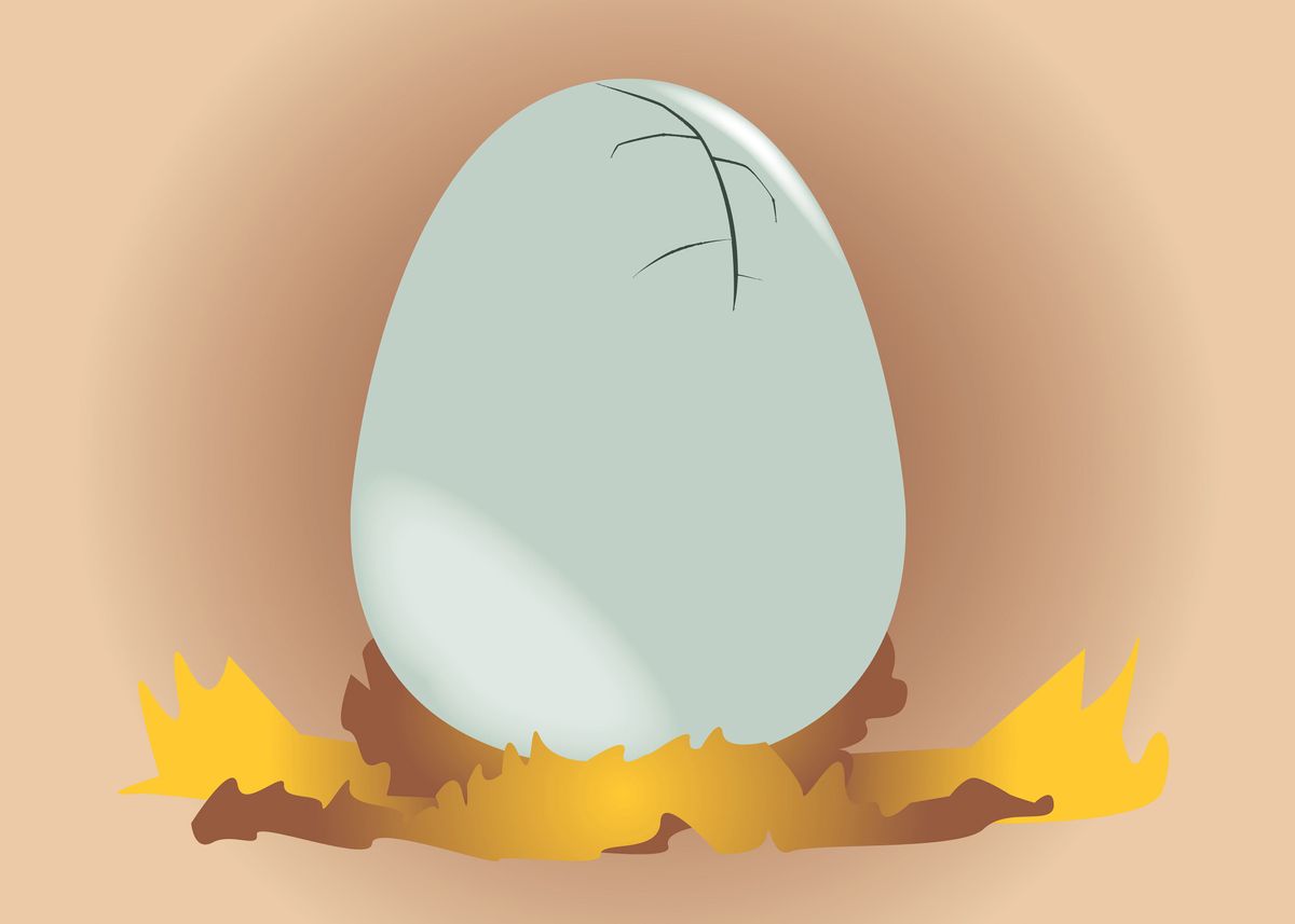 'Hatching Egg' Poster by HomeStead Digital | Displate