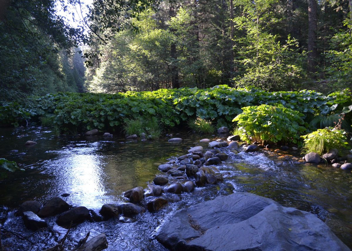 'A Quiet Stream' Poster, picture, metal print, paint by Robert Cable ...