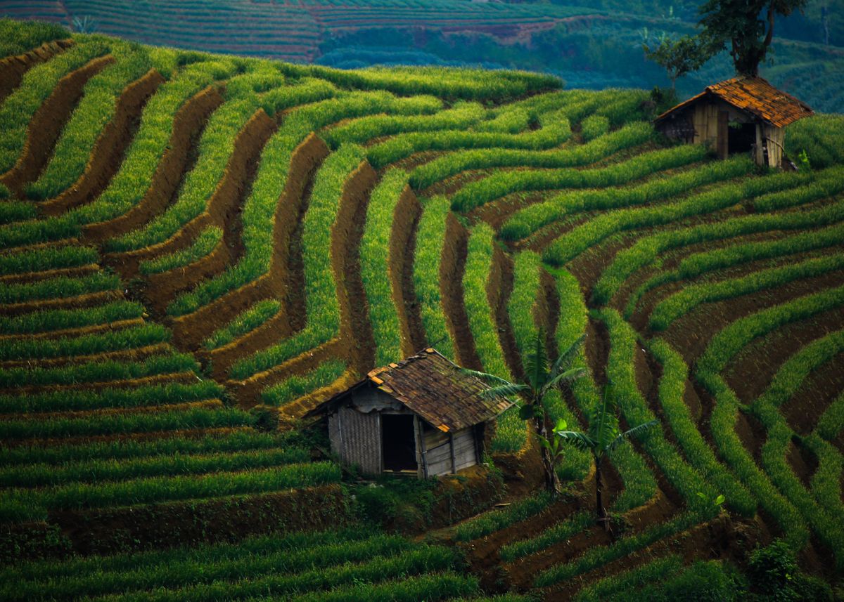 'Beautiful Terracering' Poster by zacky tea | Displate