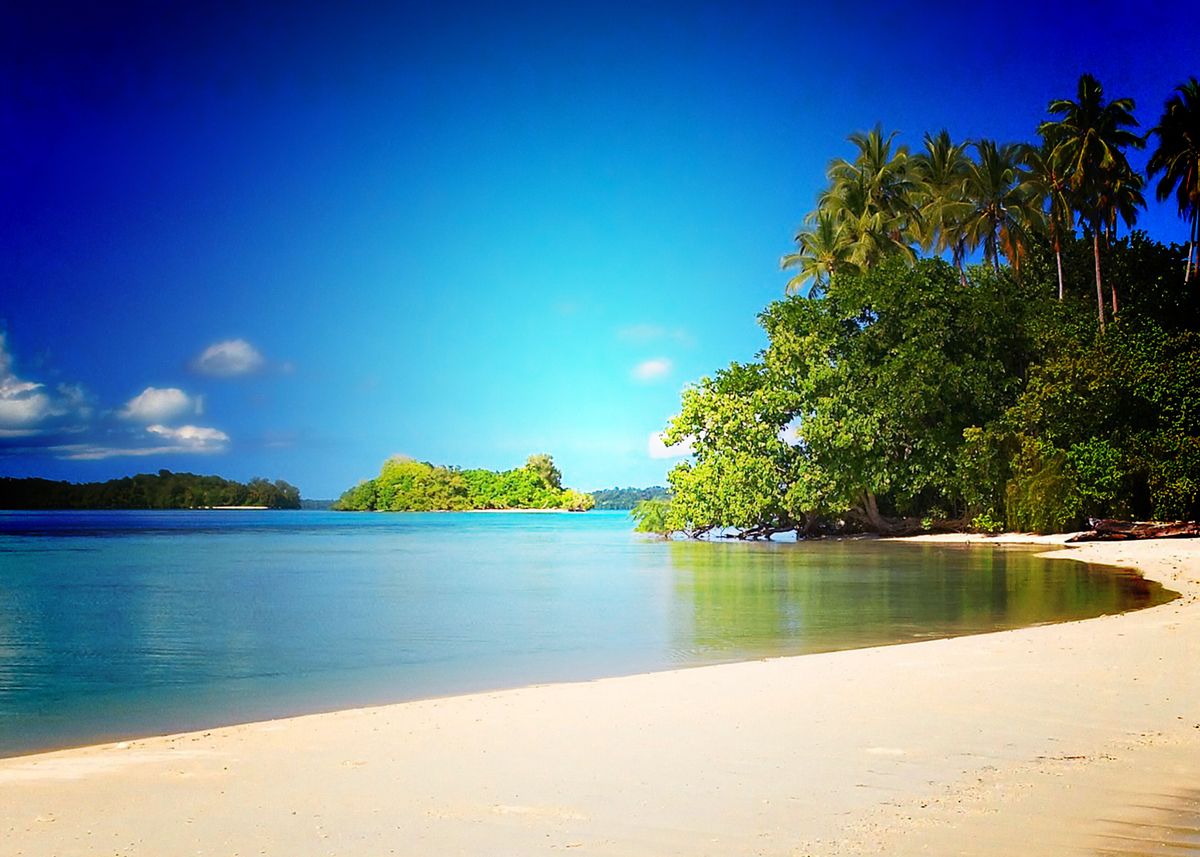 'Earth Beach' Poster, picture, metal print, paint by jonh B | Displate