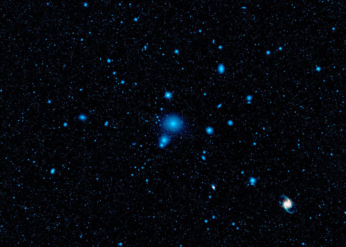 'cluster' Poster, picture, metal print, paint by tony4urban | Displate