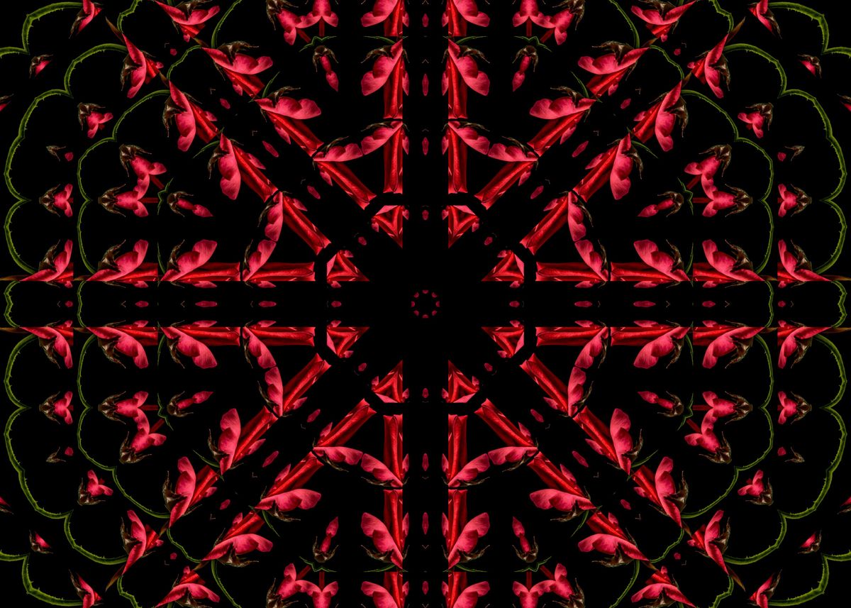 'Red Octagon Star Mandala' Poster, picture, metal print, paint by ...