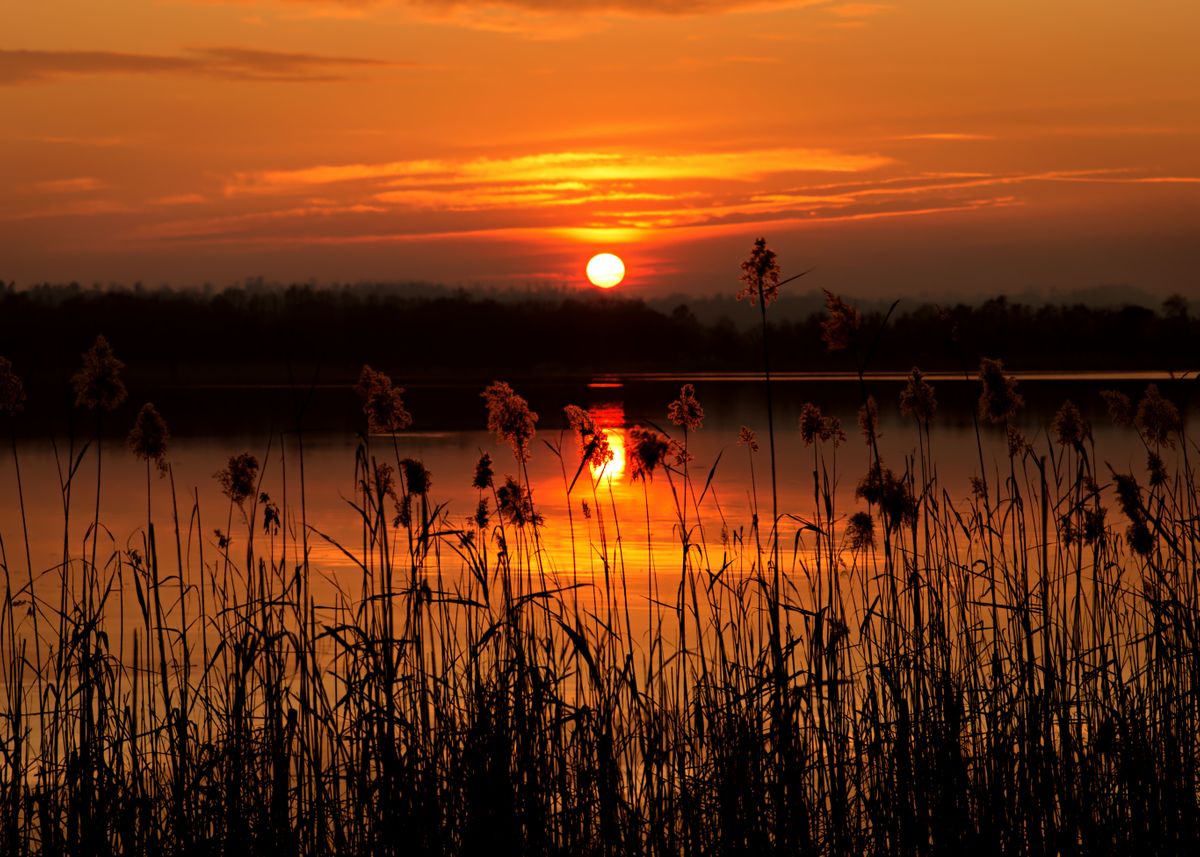 'Sunsetting sun' Poster, picture, metal print, paint by Daniele ...