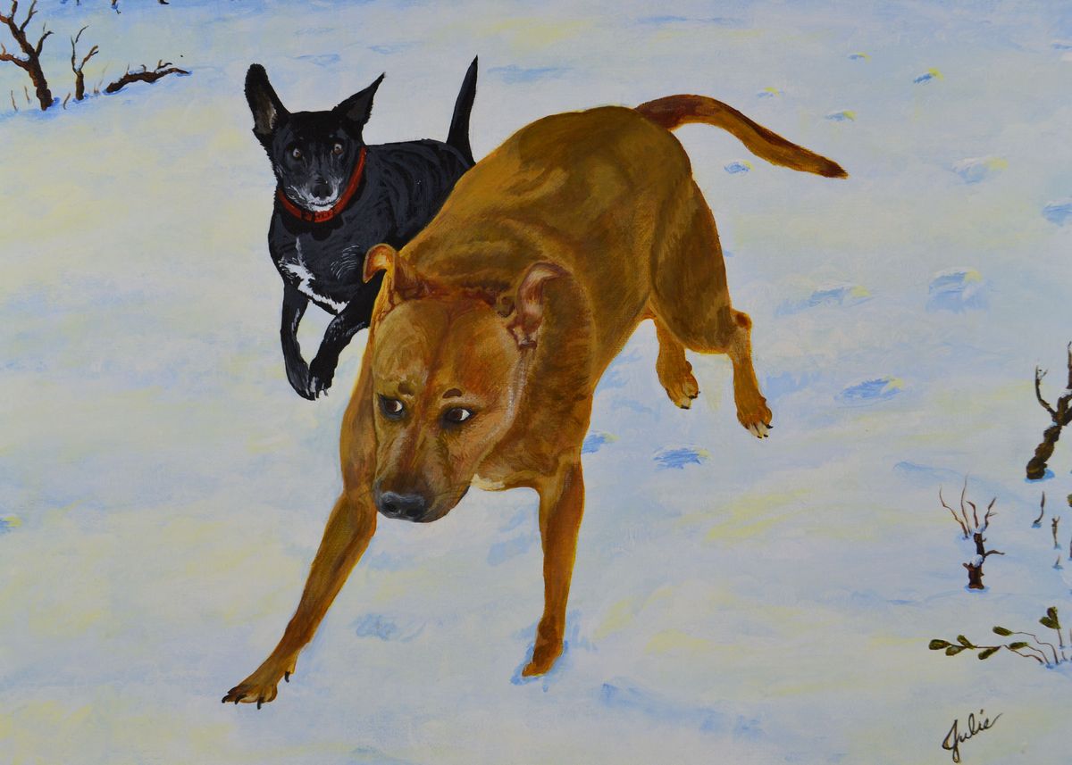 'Rescue dogs in Snow' Poster by JULIE JOHN | Displate