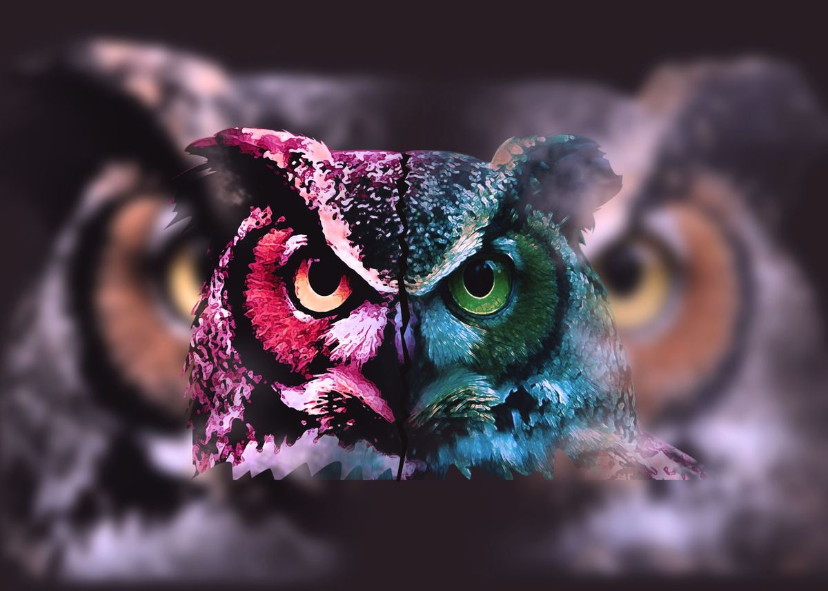 'Duo tone owl' Poster by Fanth | Displate