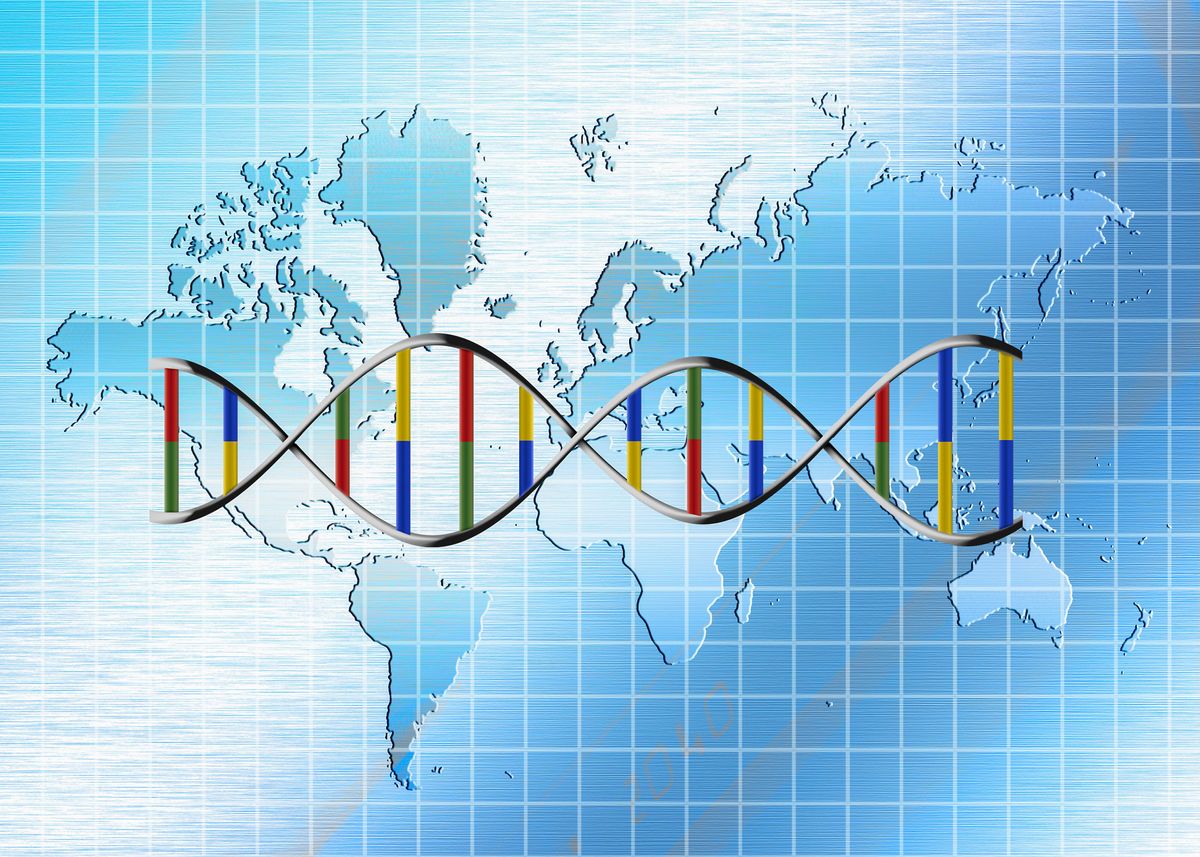 'World Genetic' Poster, picture, metal print, paint by Bruce Rolff ...