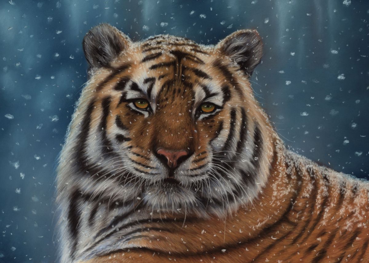 'Tiger in the Snow' Poster, picture, metal print, paint by Richard ...