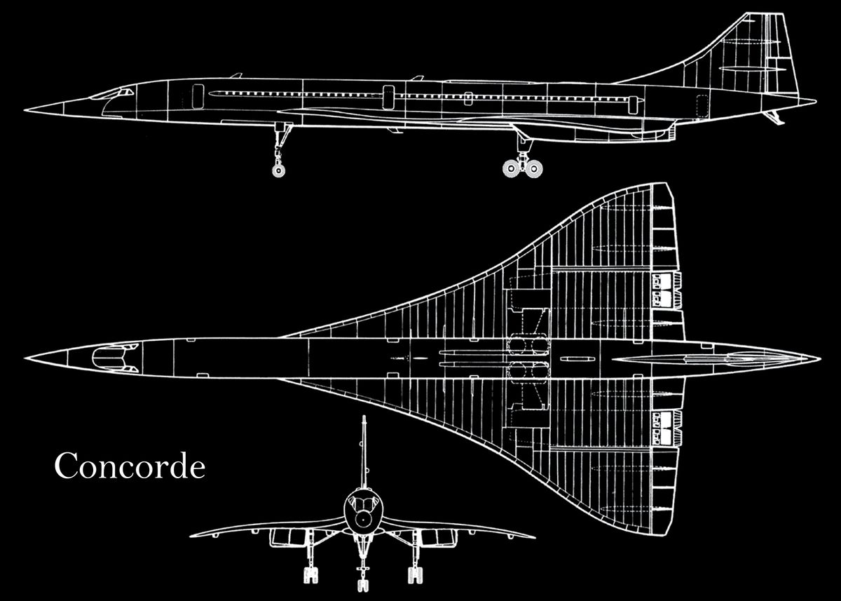 'Concorde Blueprint' Poster, picture, metal print, paint by B & W Arts ...