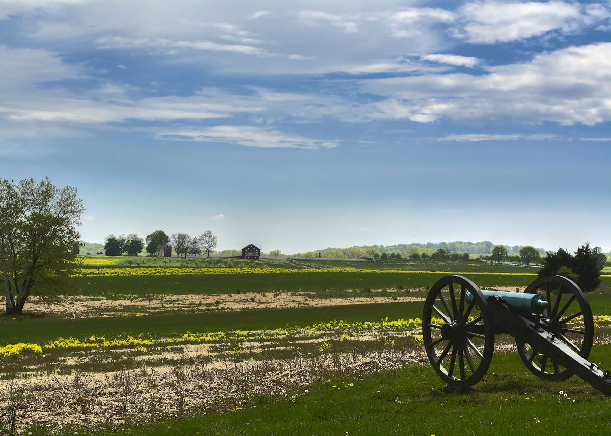 'Spring Cannon' Poster by Nathan DePue | Displate