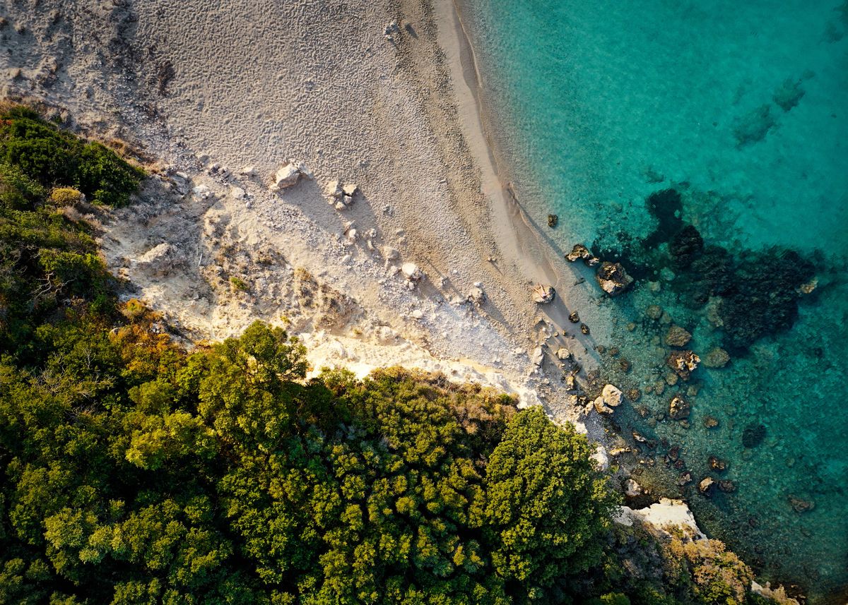 'Turtle Island' Poster, picture, metal print, paint by claud | Displate