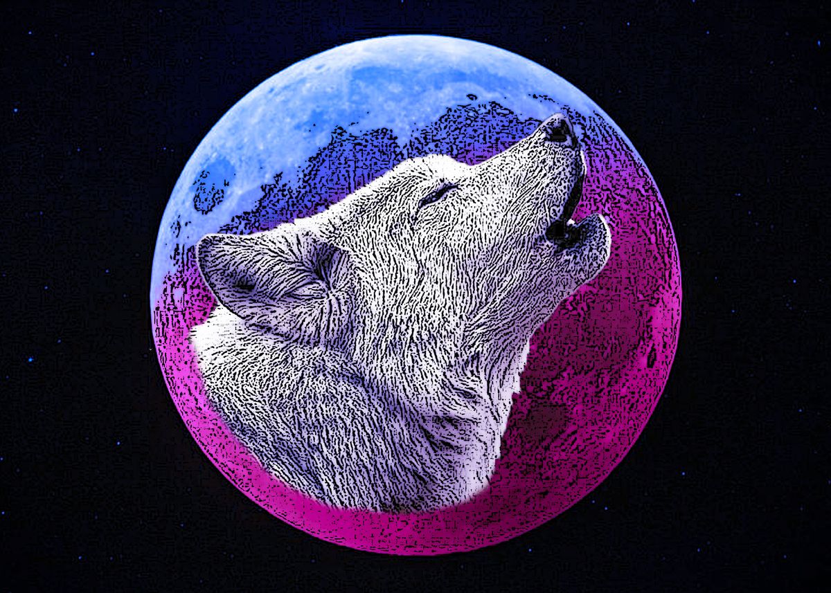 'WOLF MOON' Poster by M ROGERS ART | Displate