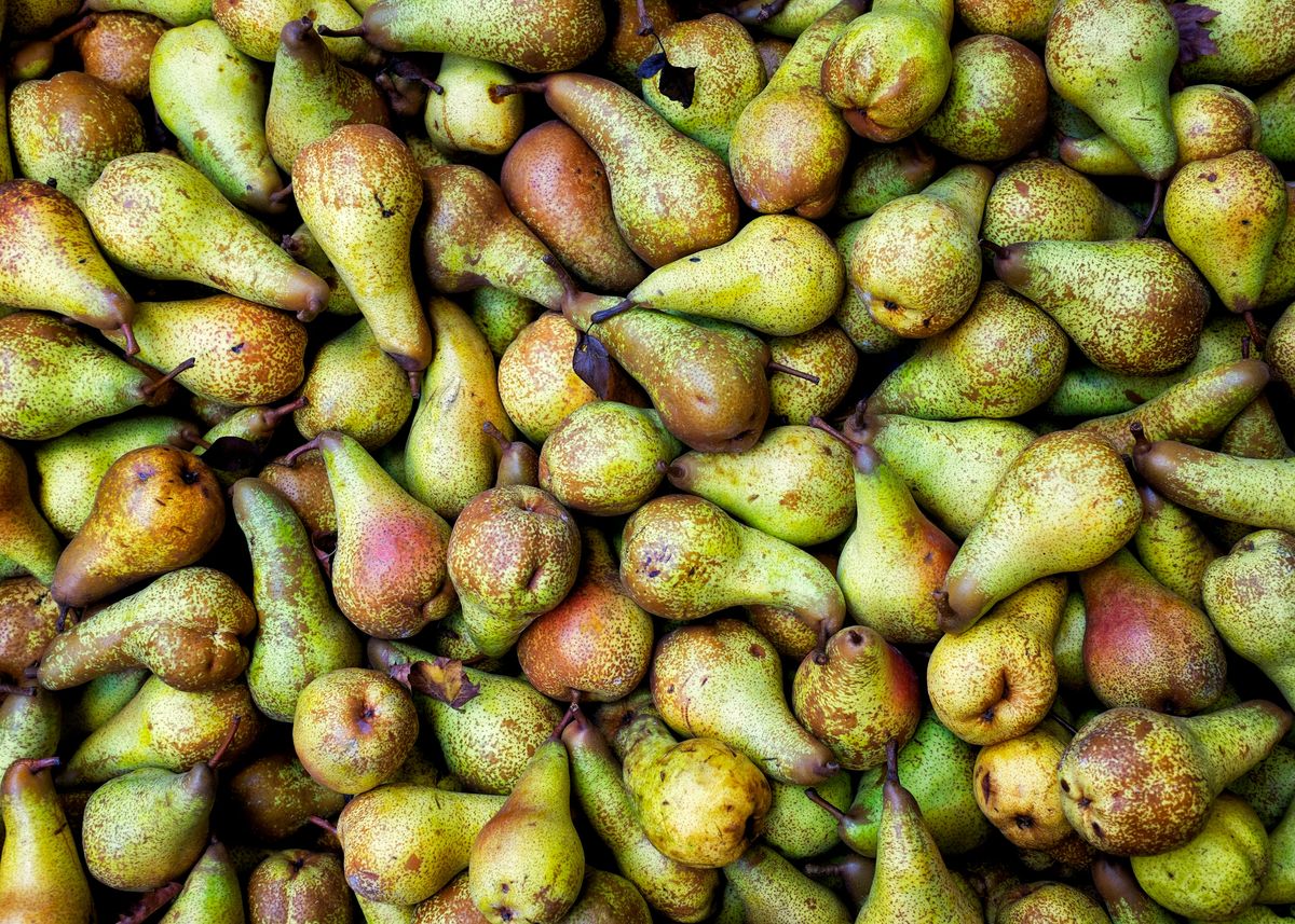 'European pears' Poster by Fabrizio Troiani | Displate