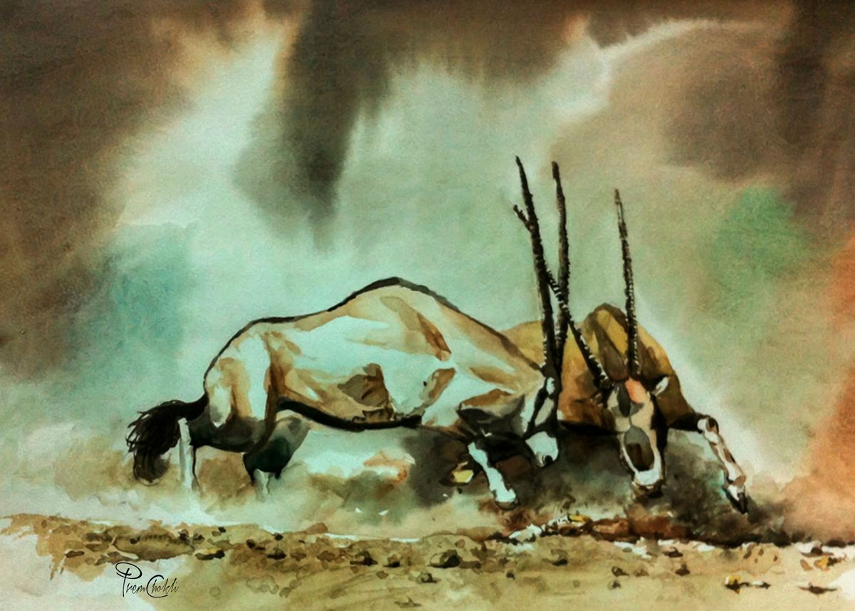 'Oryx Fighting' Poster, picture, metal print, paint by Prem Chokli ...