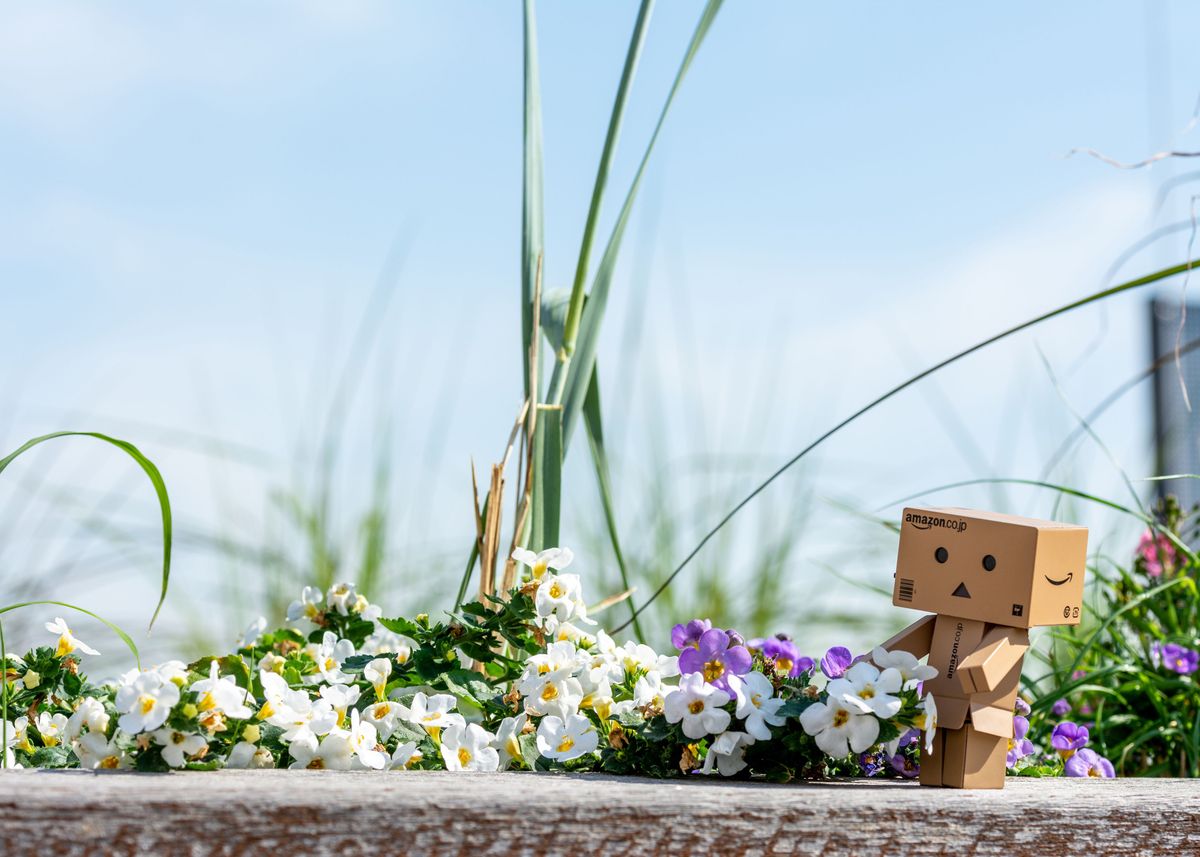 'Danbo in Spring' Poster, picture, metal print, paint by Tarik Güney ...