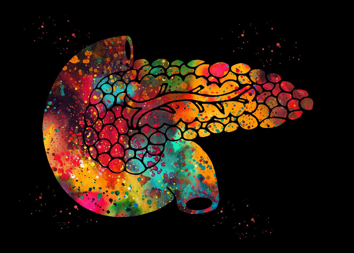 'Pancreas' Poster, picture, metal print, paint by Erzebet Prikel | Displate