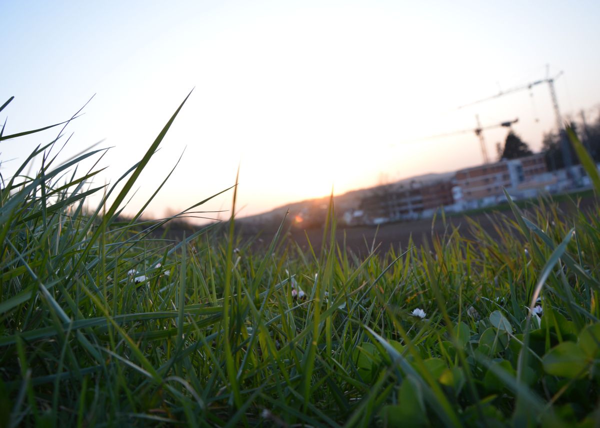 'german sunset' Poster, picture, metal print, paint by Neongelb | Displate