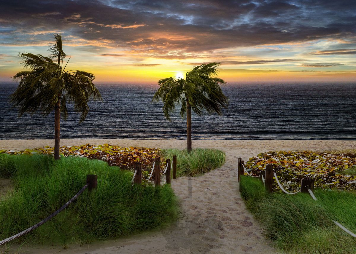 'Beach Sunset' Poster, picture, metal print, paint by Dimo | Displate