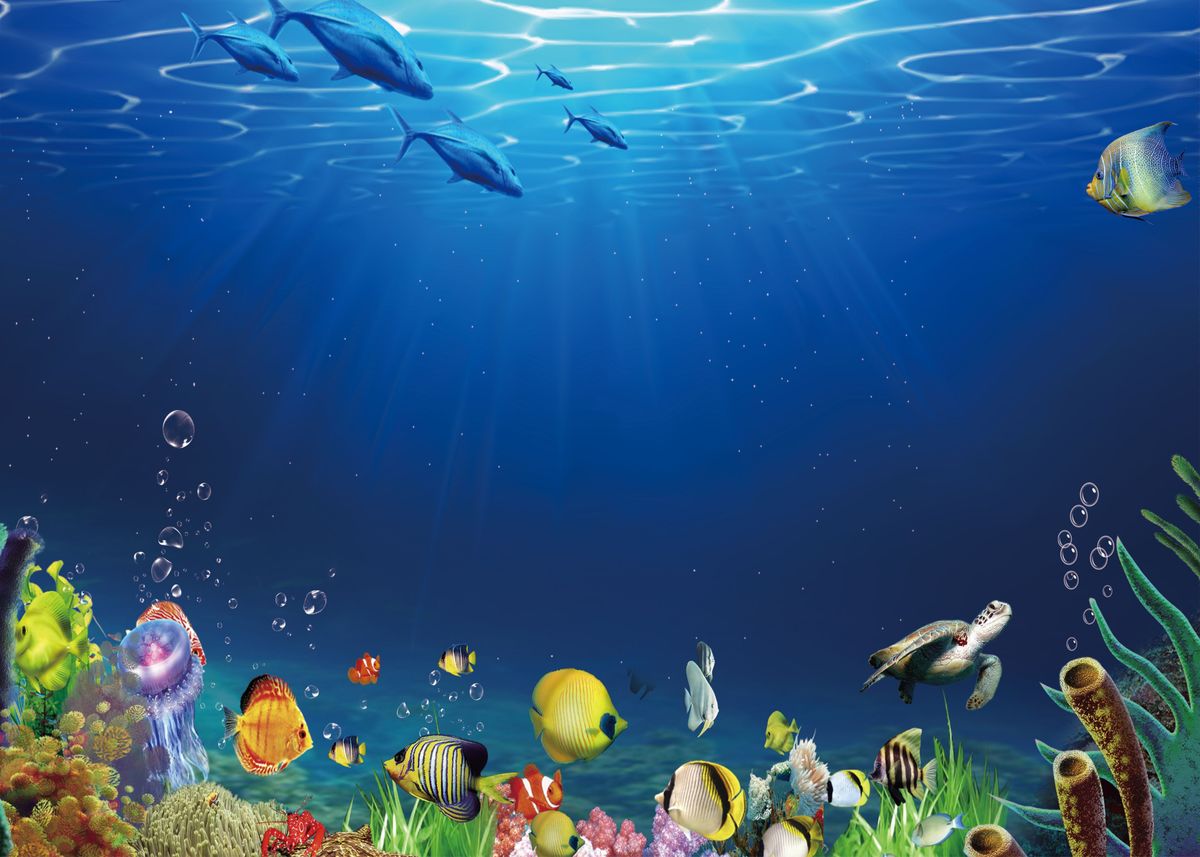 'Fishes Ocean Underwater' Poster, picture, metal print, paint by Max ...