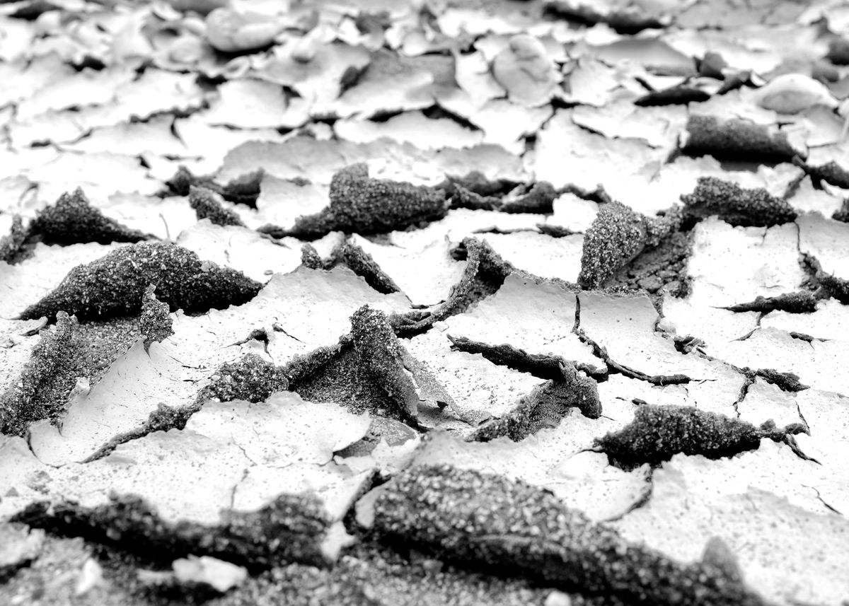 'Scorched Earth' Poster, picture, metal print, paint by Fabrizio ...