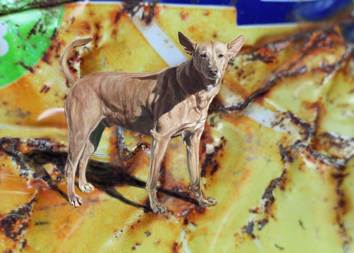 'Chippy and his first can' Poster, picture, metal print, paint by Scott ...