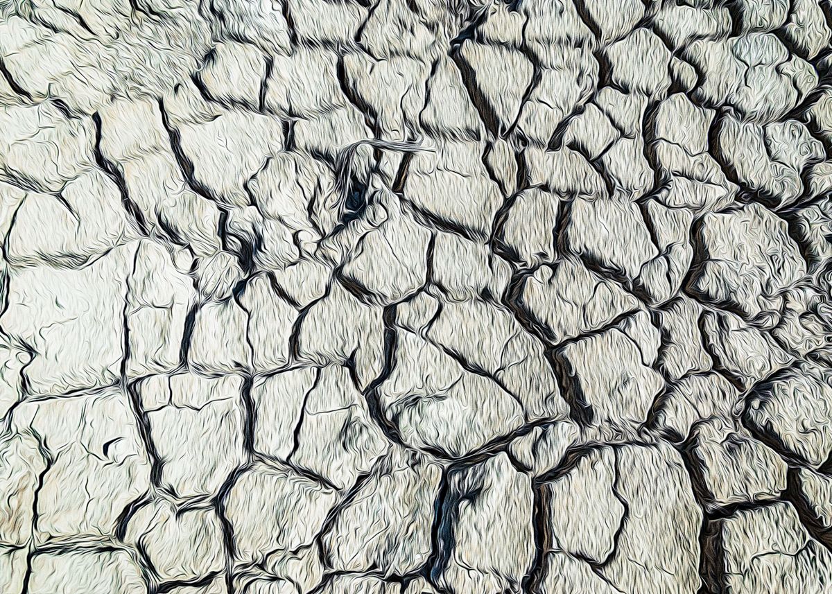 'Parched land of a marsh' Poster, picture, metal print, paint by Sergio ...