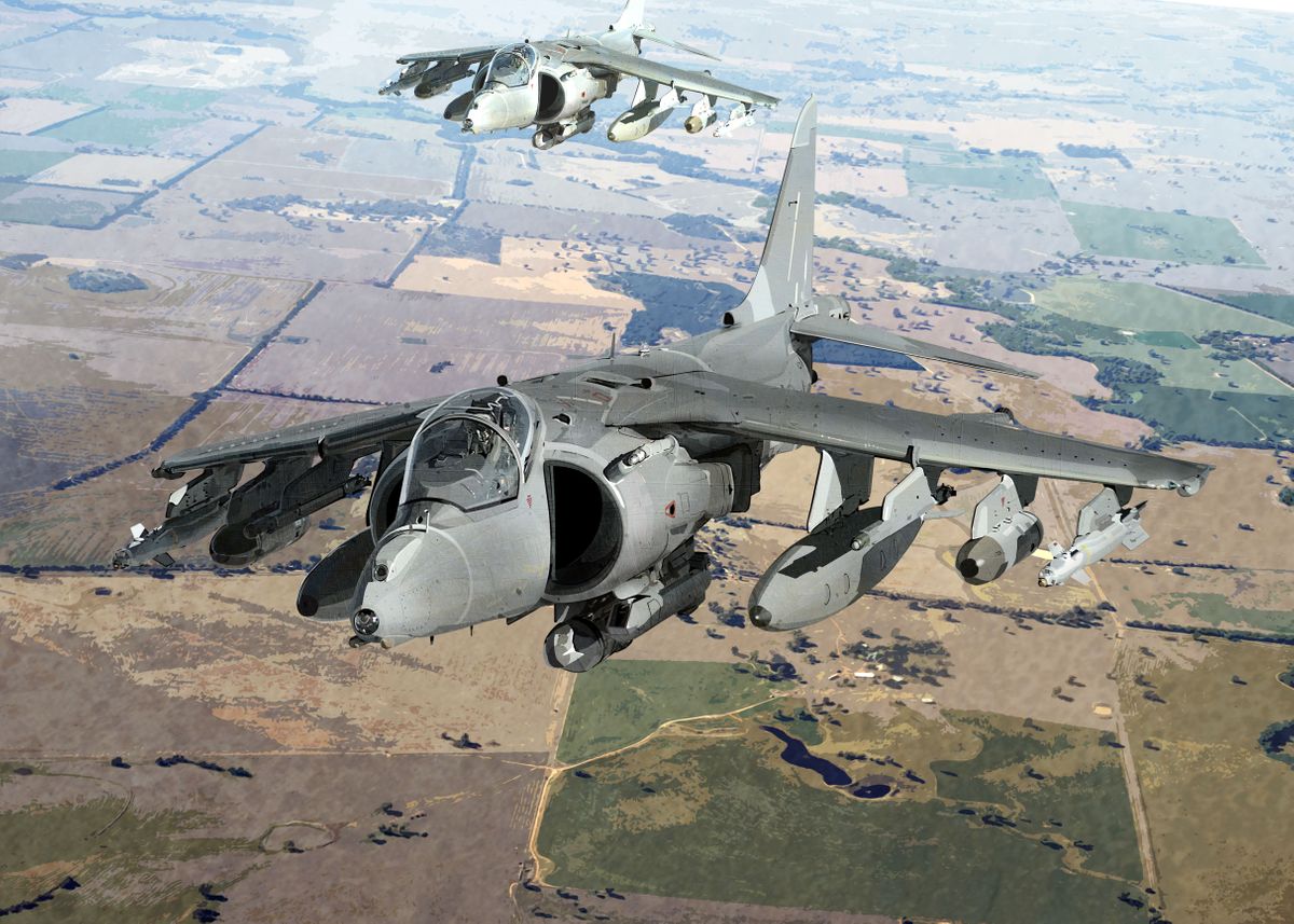 'Harrier Flight' Poster, picture, metal print, paint by Elomin Sha ...