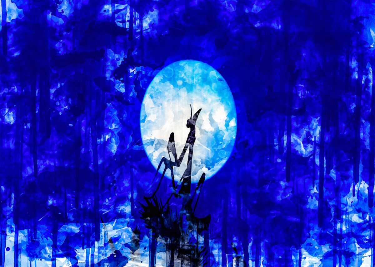 'Microcosmos' Poster by Zain Brookes | Displate