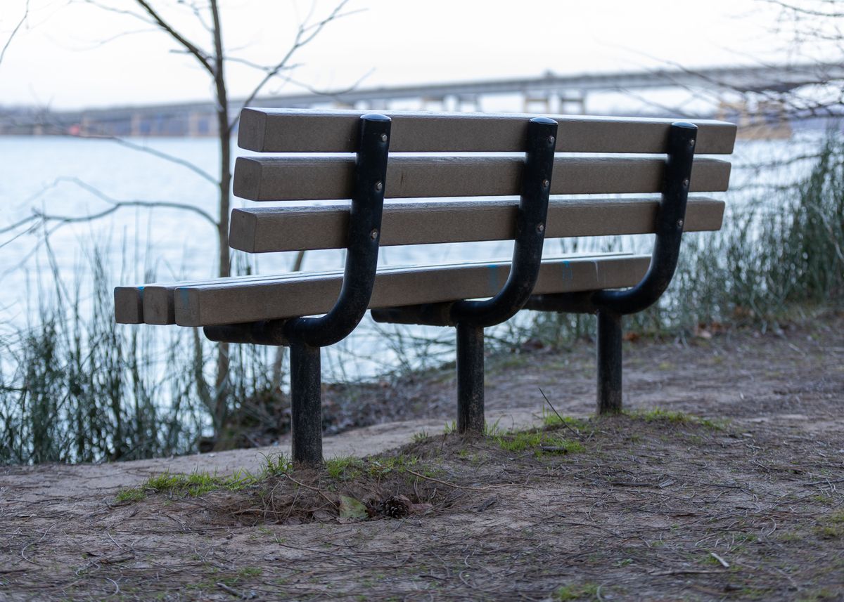 'Two Rivers Park Bench 3' Poster, picture, metal print, paint by Jacob ...