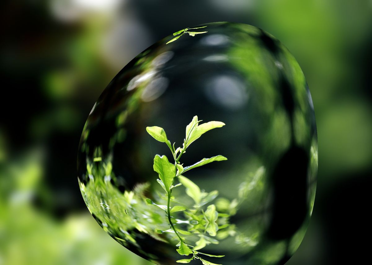 'Creative with Water Drop' Poster, picture, metal print, paint by ...