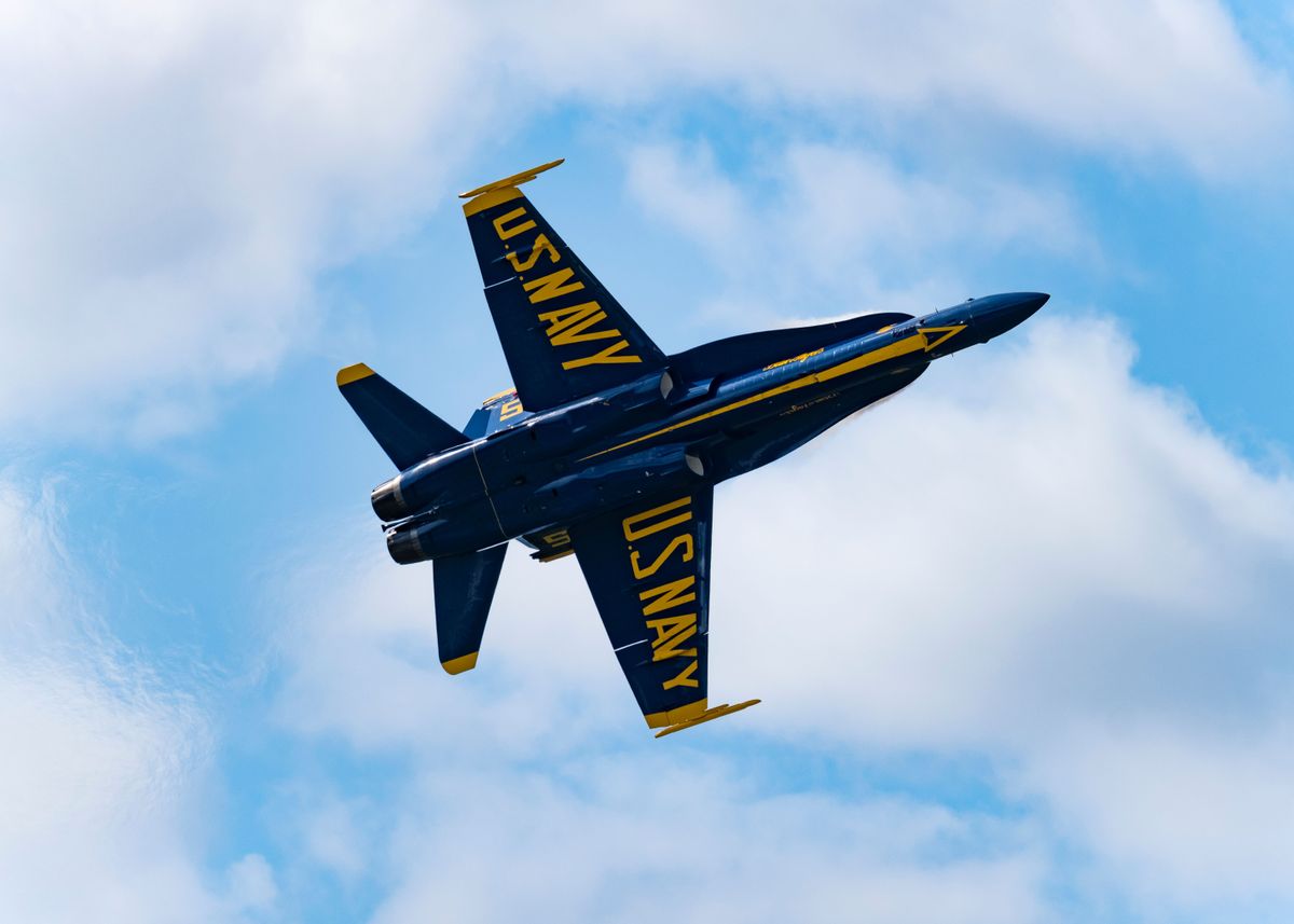 'Blue Angels' Poster, picture, metal print, paint by Ricardo Costa ...