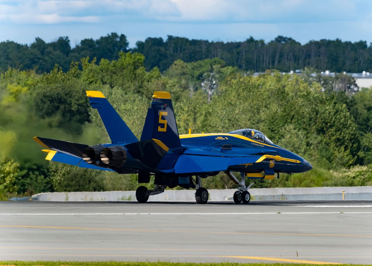 'Blue Angels' Poster, picture, metal print, paint by Ricardo Costa ...