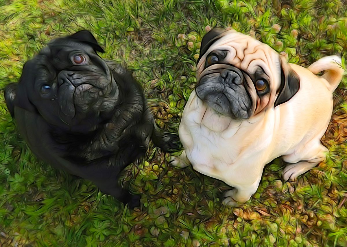 'Pug Duo' Poster, picture, metal print, paint by Armstrong | Displate