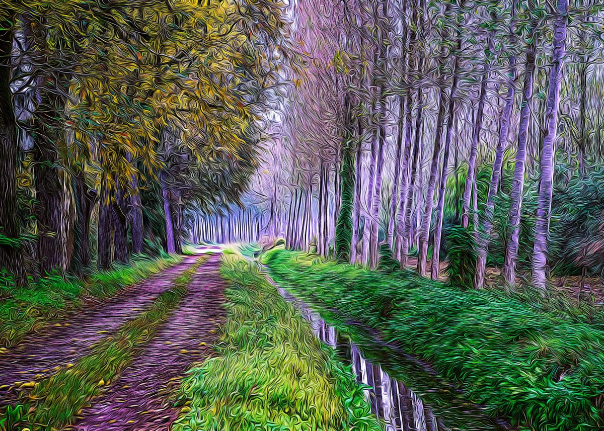 'Country road and ditch' Poster by Sergio Pazzano | Displate