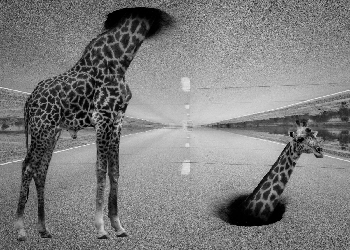 'Strange giraffe' Poster by Mathis Pelissolo | Displate