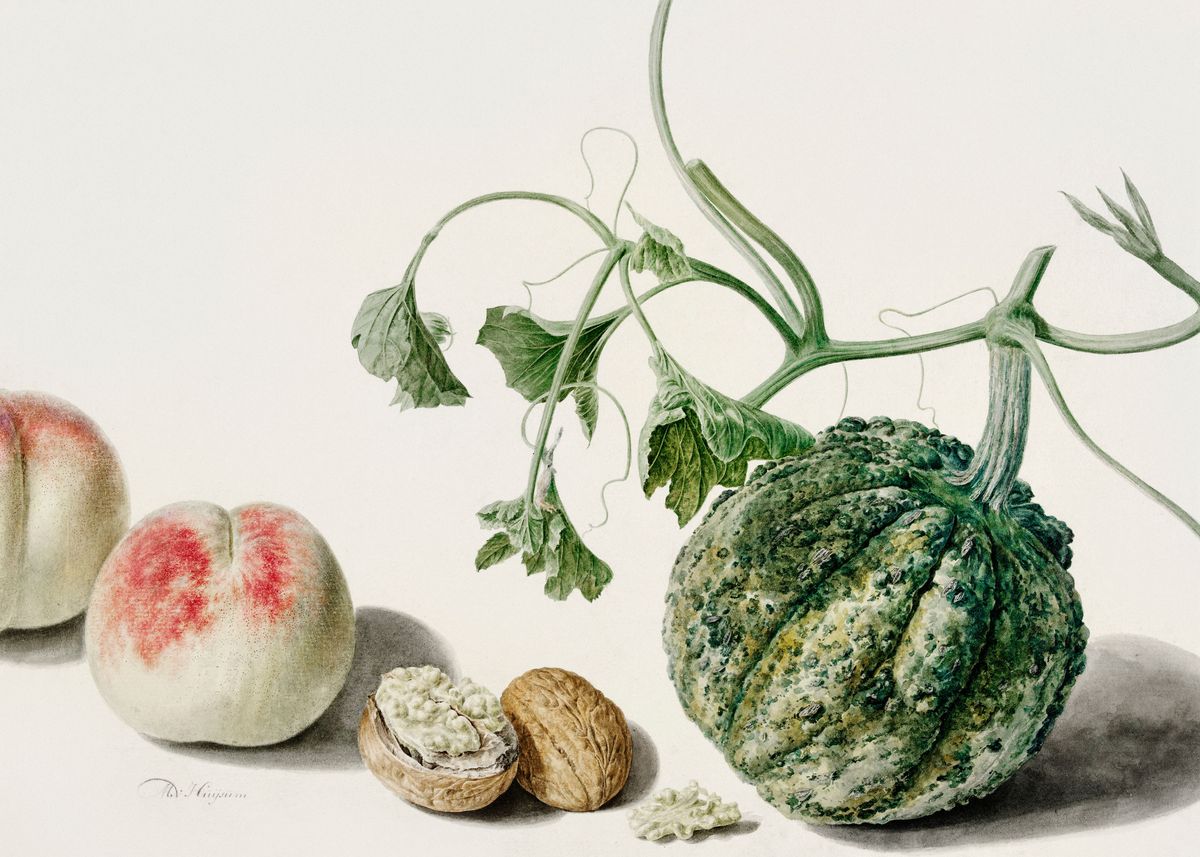 'Calabash and Fruits' Poster, picture, metal print, paint by tony4urban ...