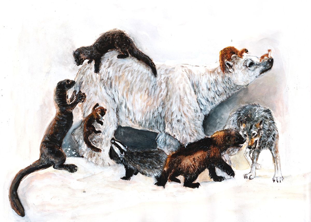 'Awesome Mustelids' Poster, picture, metal print, paint by Belette Le ...