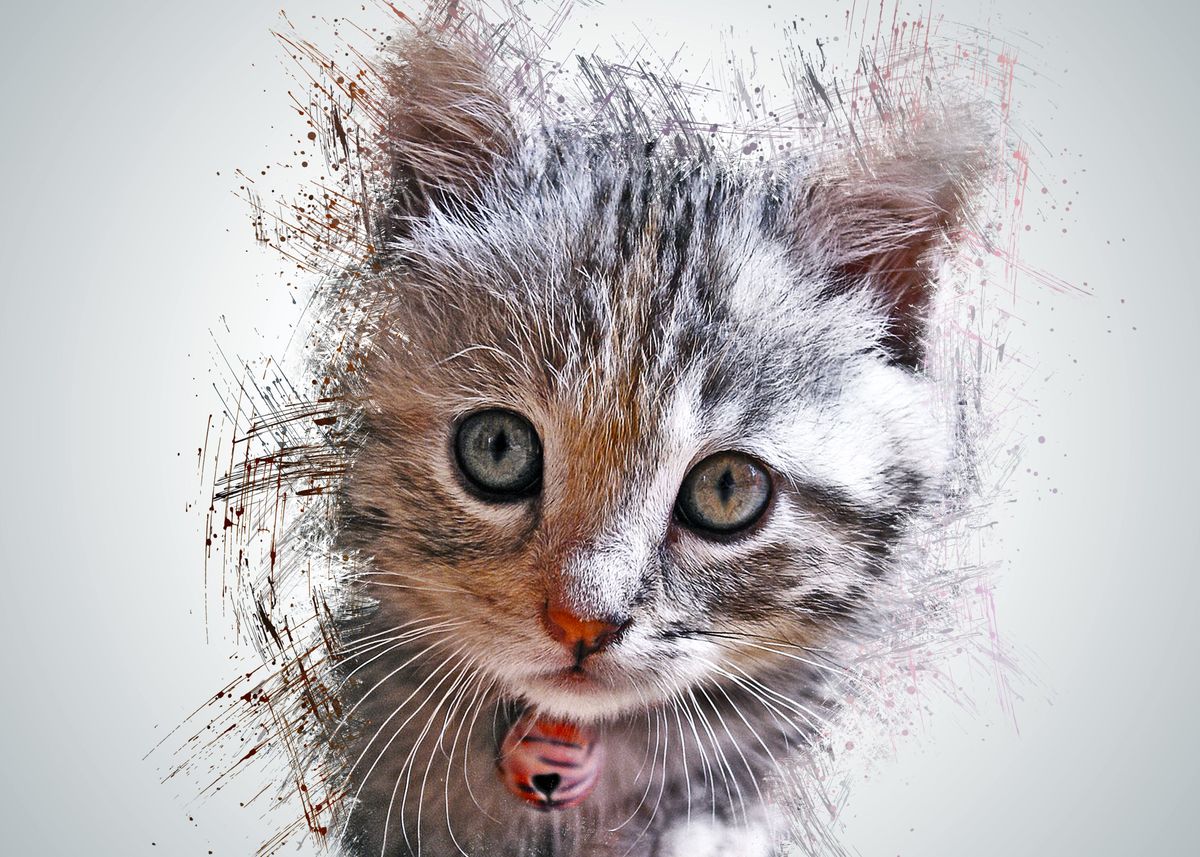 'Cat Animal' Poster, picture, metal print, paint by Mas Nono | Displate