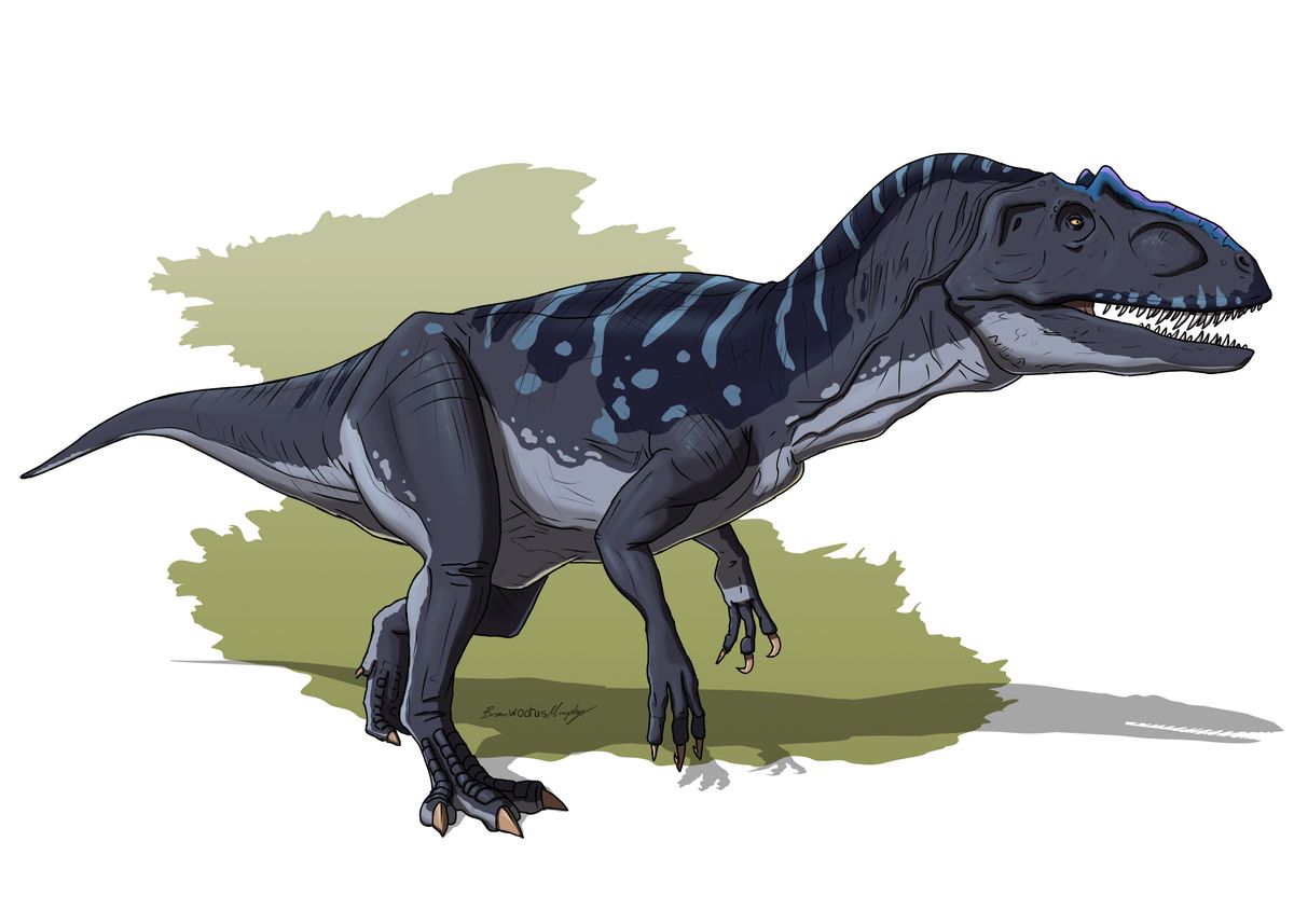 'Allosaurus' Poster, picture, metal print, paint by wootusart | Displate