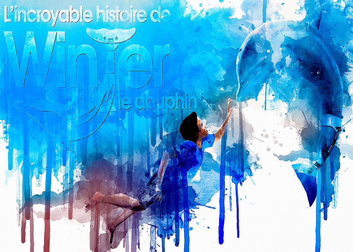 'Dolphin tale 3' Poster, picture, metal print, paint by Kaye Luca ...