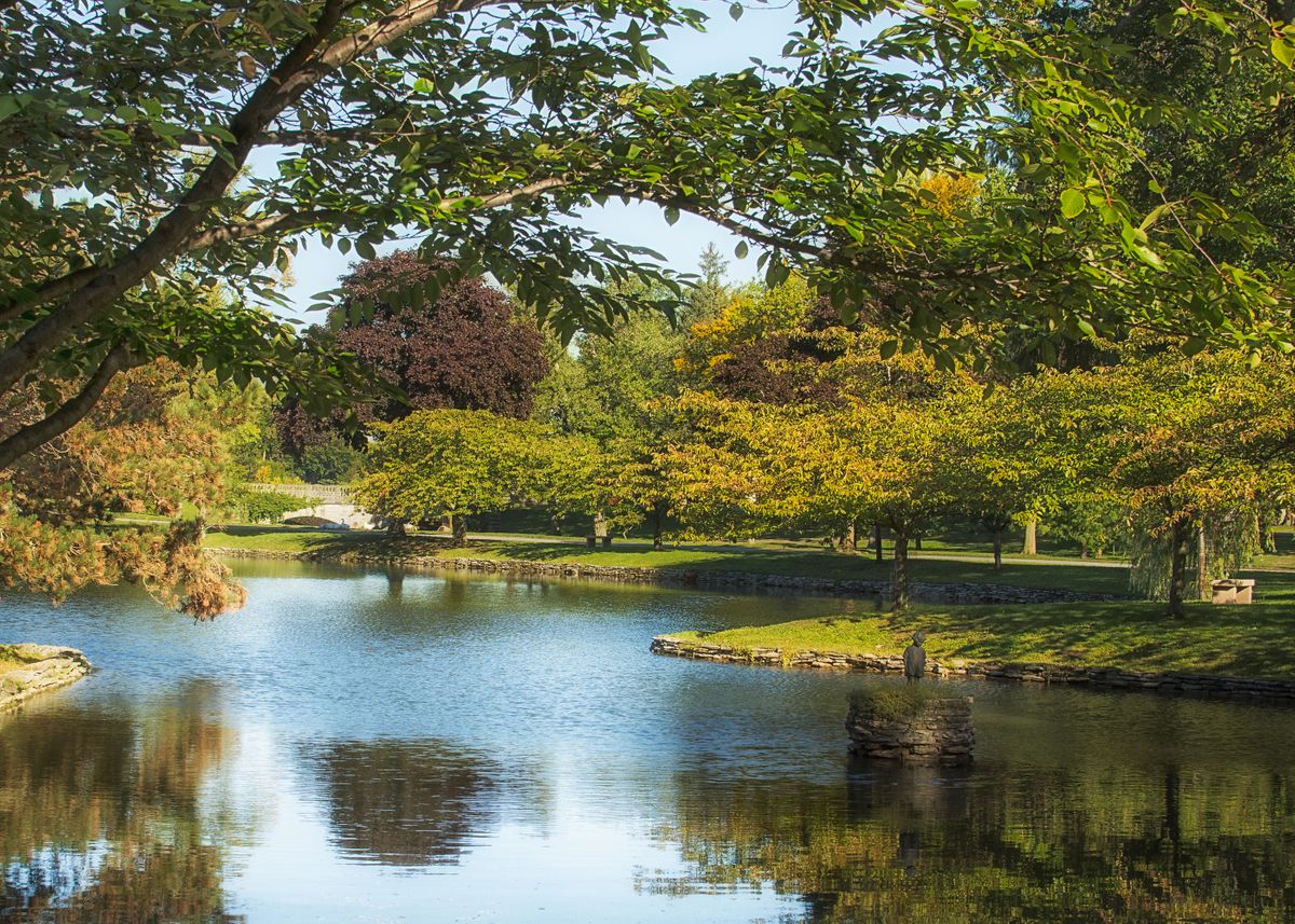 'Mirror Lake' Poster by Debbie Ritch | Displate