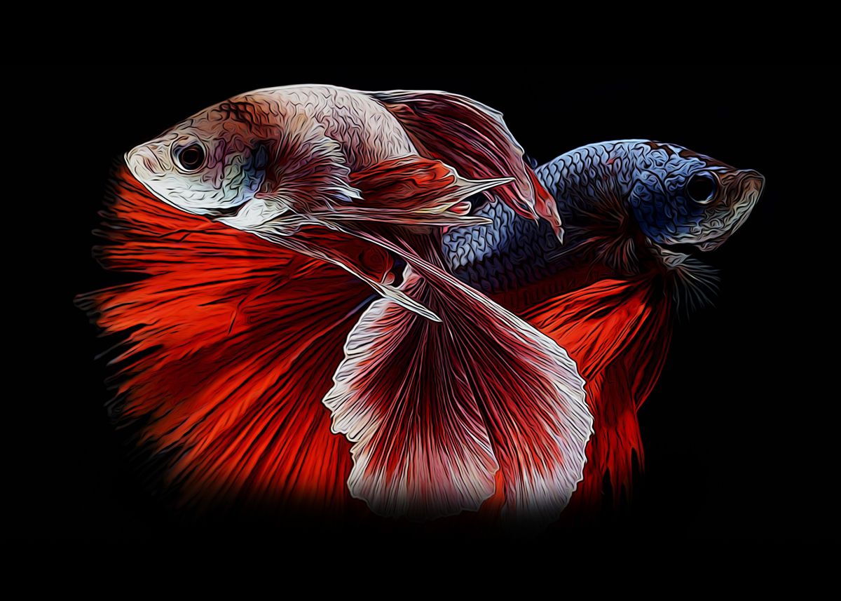 'Siamese Couple' Poster, picture, metal print, paint by Yusup Ade Tiar ...