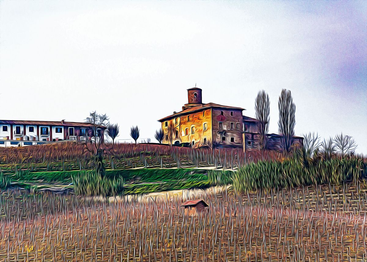 'Vineyards in Barolo valley' Poster, picture, metal print, paint by ...
