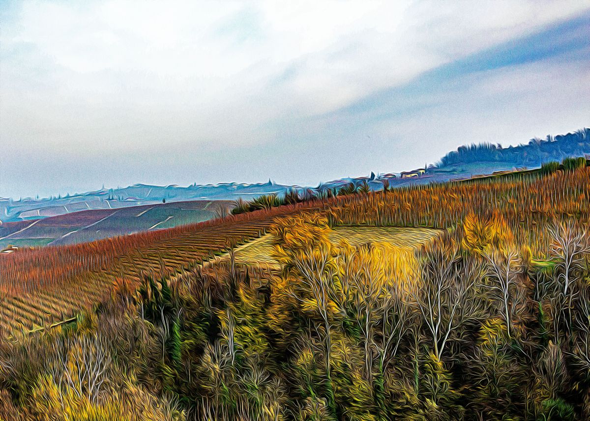 'Vineyards in Barolo valley' Poster, picture, metal print, paint by ...