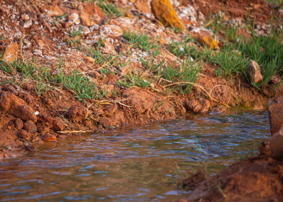 'Soft Stream' Poster, picture, metal print, paint by Austin Davis ...