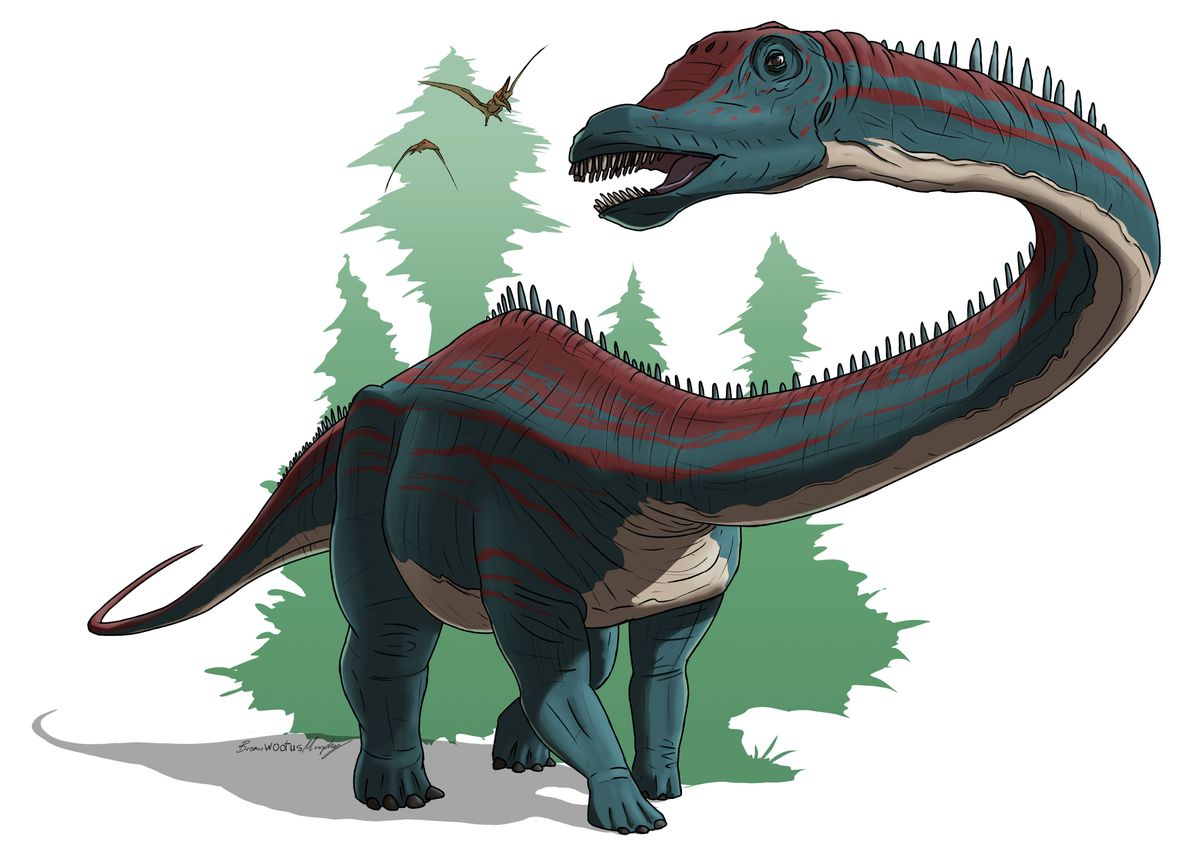 'Diplodocus' Poster, picture, metal print, paint by wootusart | Displate