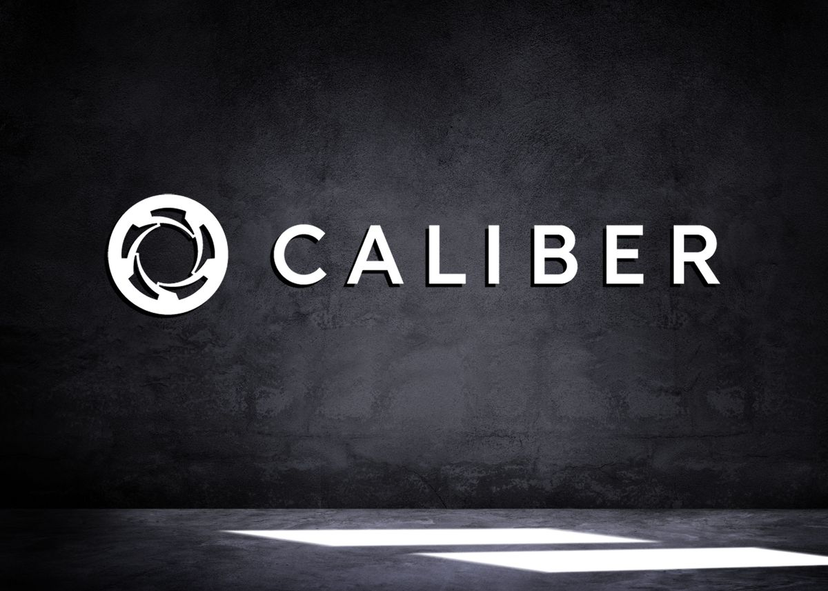 'Caliber ' Poster, picture, metal print, paint by Vest He tsack | Displate